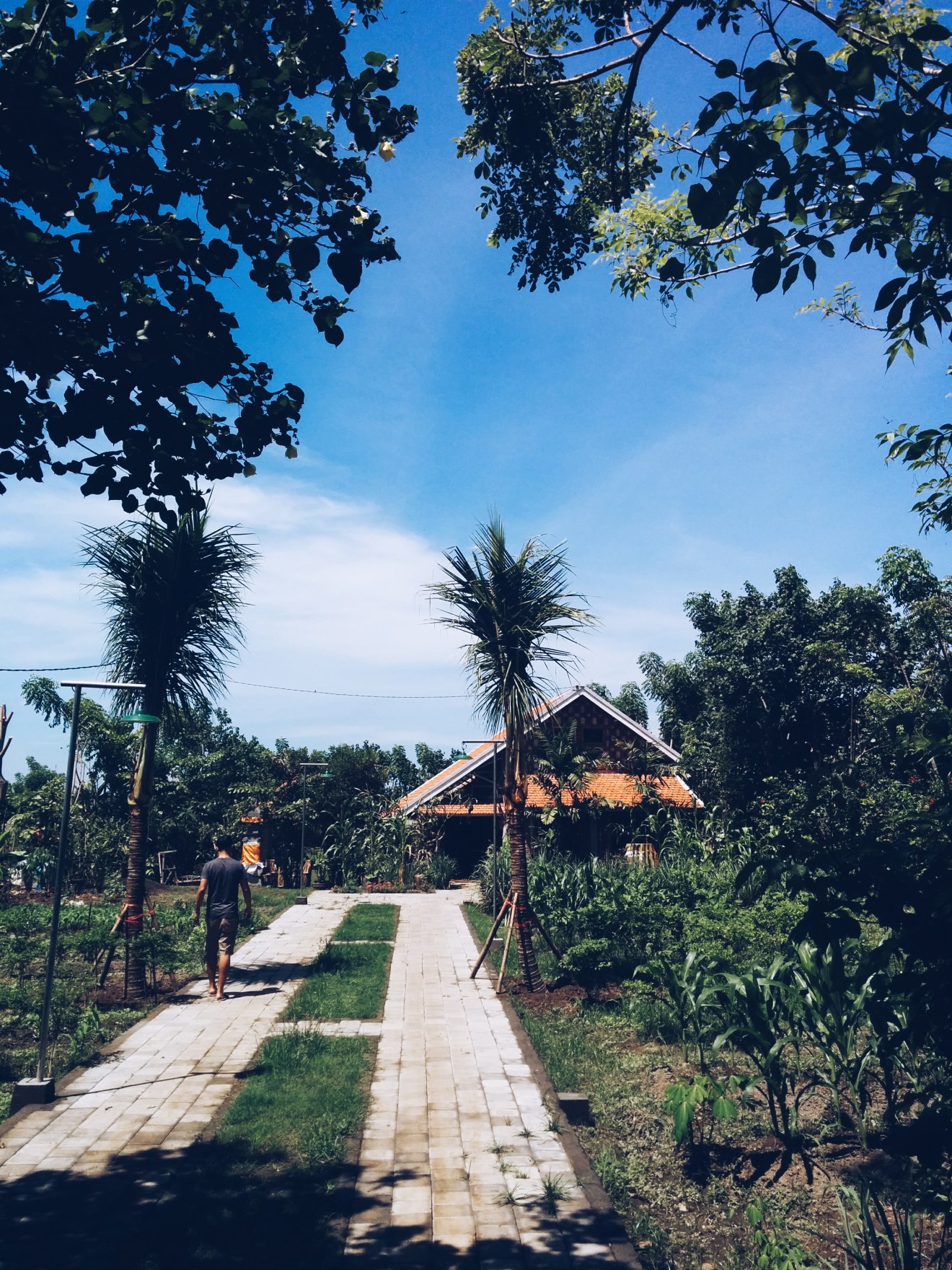 Taman Baca Kesiman – The Dusty Sneakers